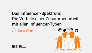 CHEAT SHEET: VORTEILE EINER ZUSAMMENARBEIT MIT ALLEN INFLUENCER-TYPEN